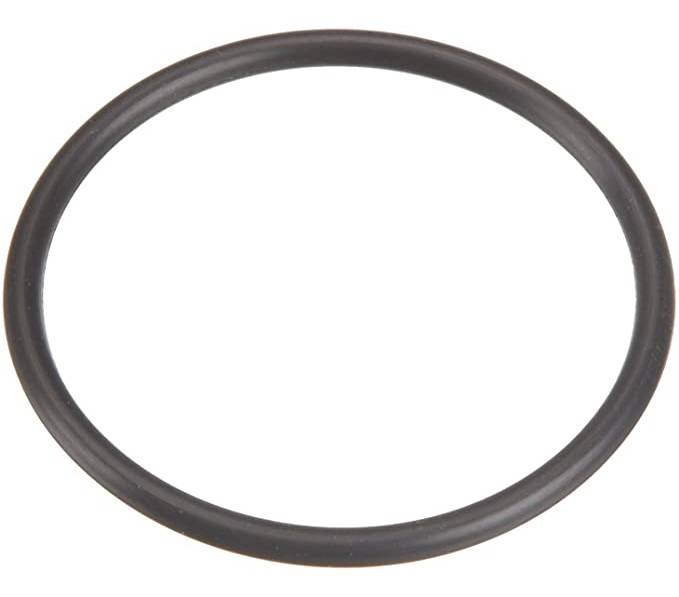 Pentair U9-226Z 1.5" Union & Diffuser O-Ring