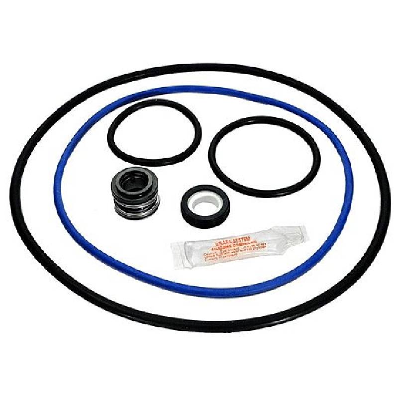 Aladdin Hayward Northstar Seal and Gasket Kit
