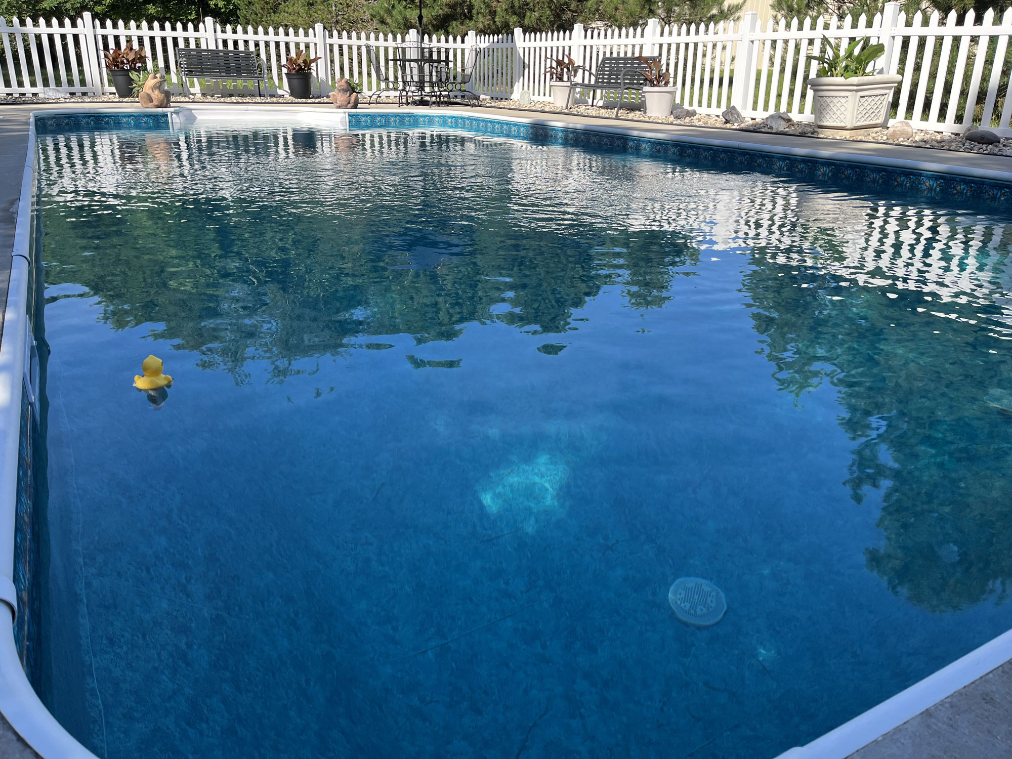 Tropical Bloom Inground Pool Liner - Pool Warehouse